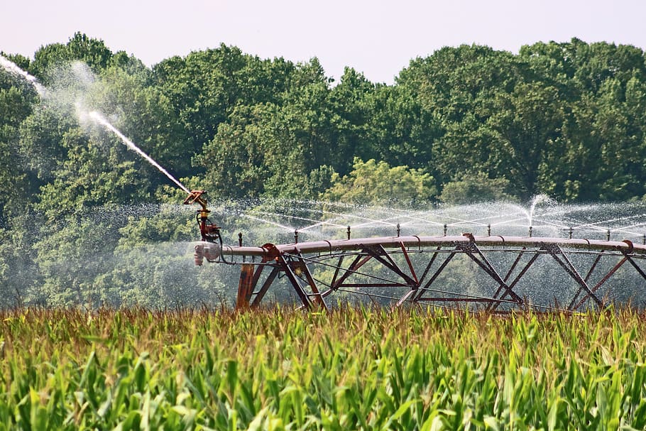 Considerations for designing groundwater markets | Economics Outside ...